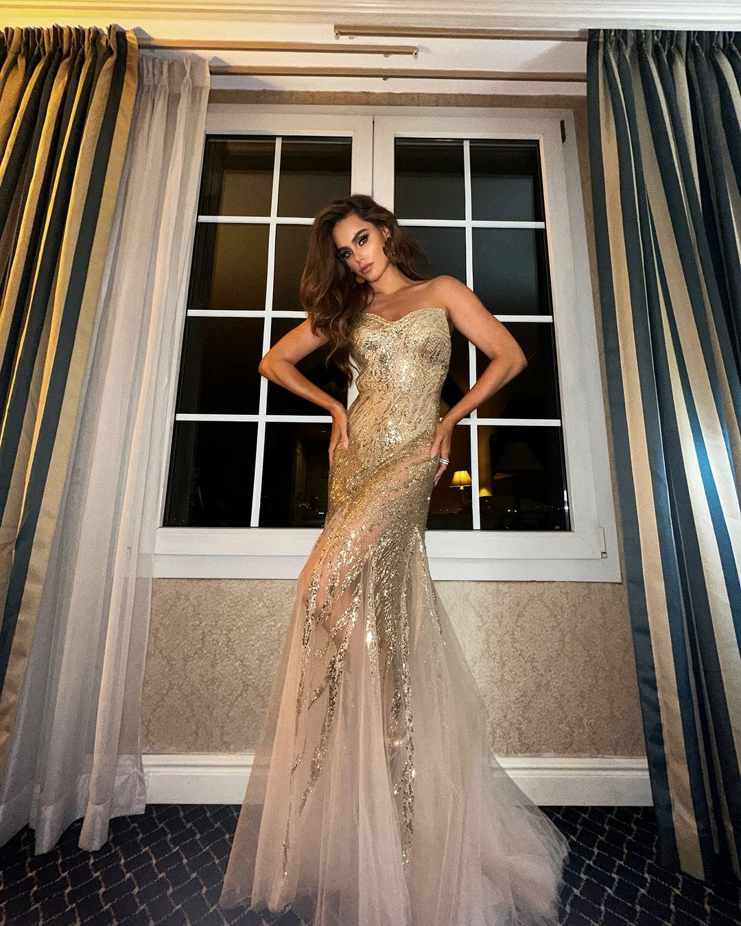 Sorprendente anuncio de Stephi Stegman: "No seré su Miss Universo 2024 ...