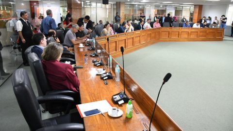 Virtual lista colorada para la Junta Municipal incorpora nuevas figuras ...